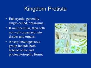 Kingdoms of classification | PPT
