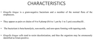 Kingella | PPTX | Chemistry | Science