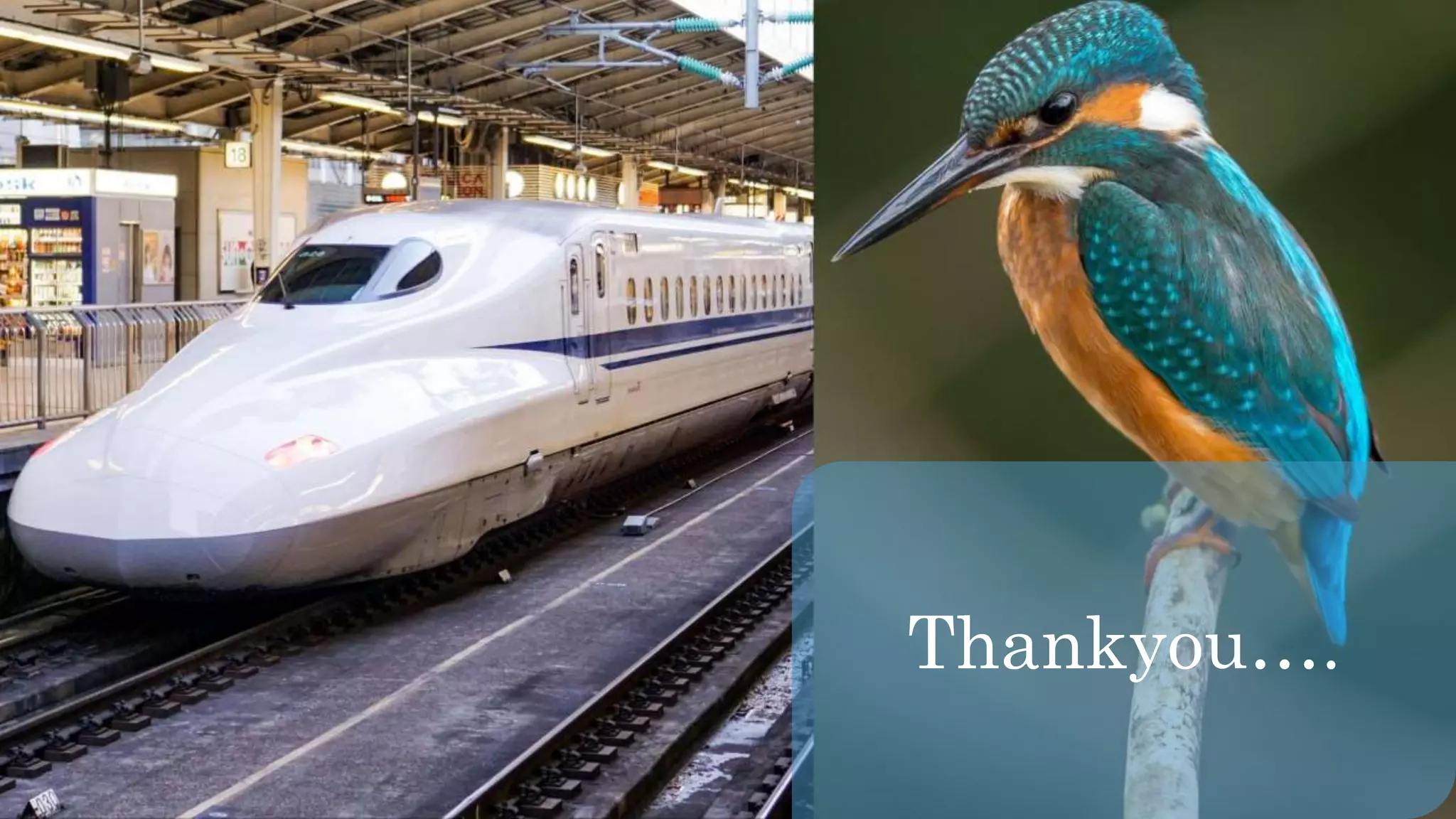 Kingfisher & the Shinkansen.pptx