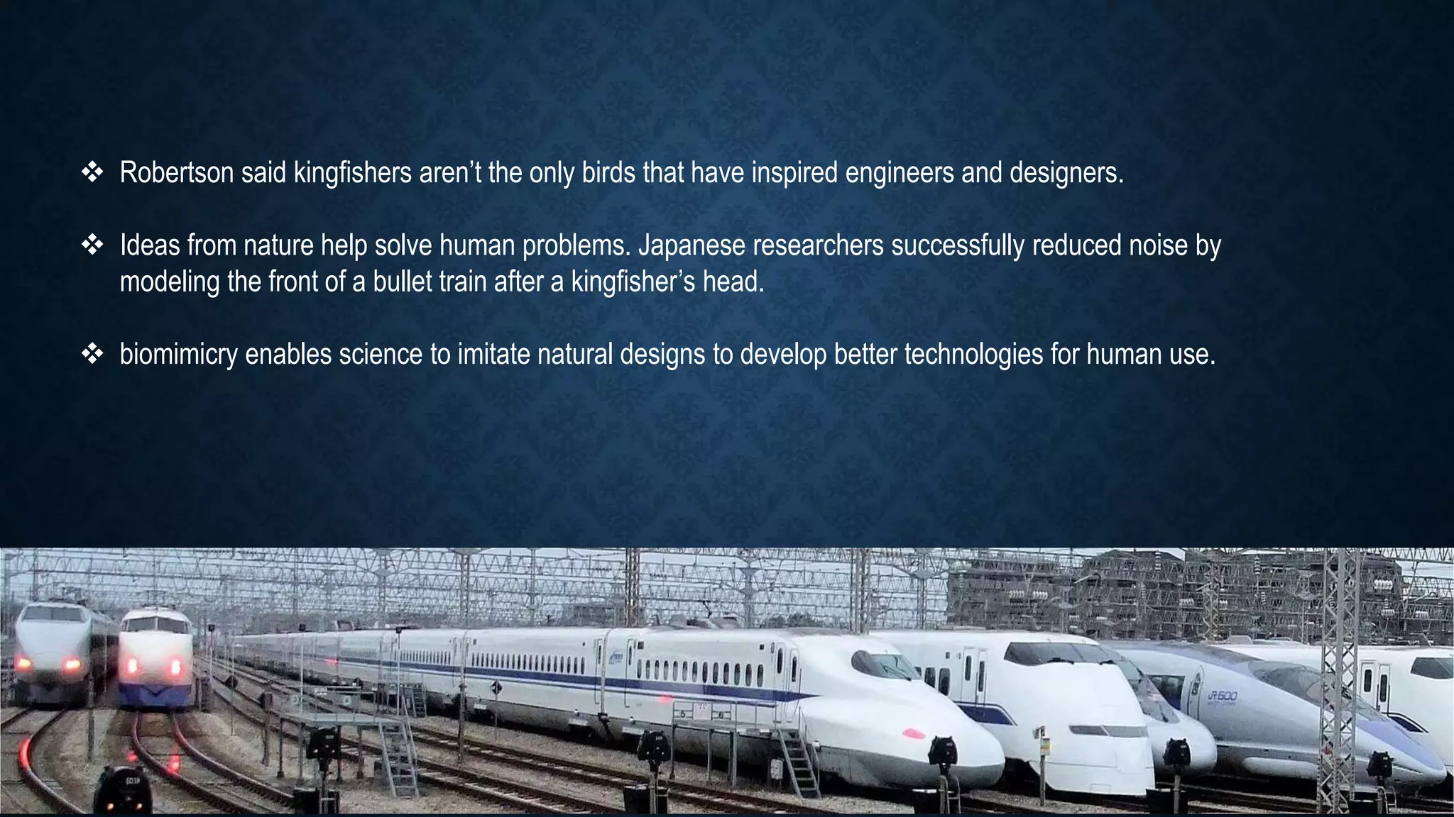 Kingfisher & the Shinkansen.pptx