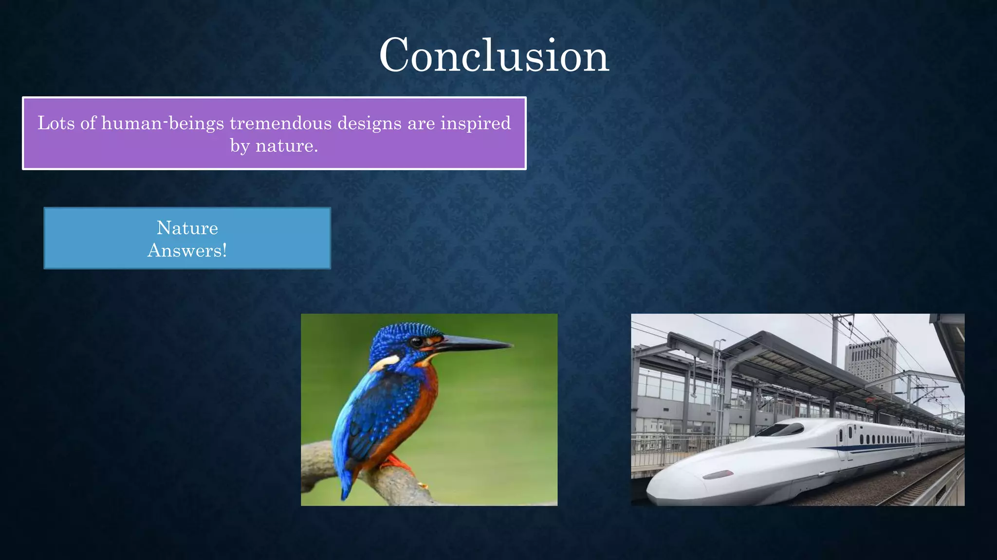 Kingfisher & the Shinkansen.pptx