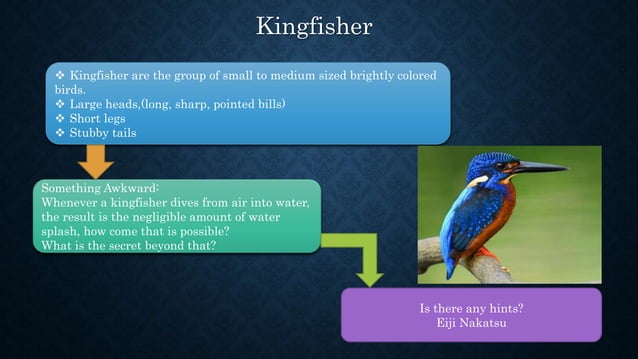 Kingfisher & the Shinkansen.pptx