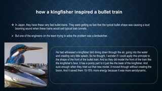 Kingfisher & the Shinkansen.pptx
