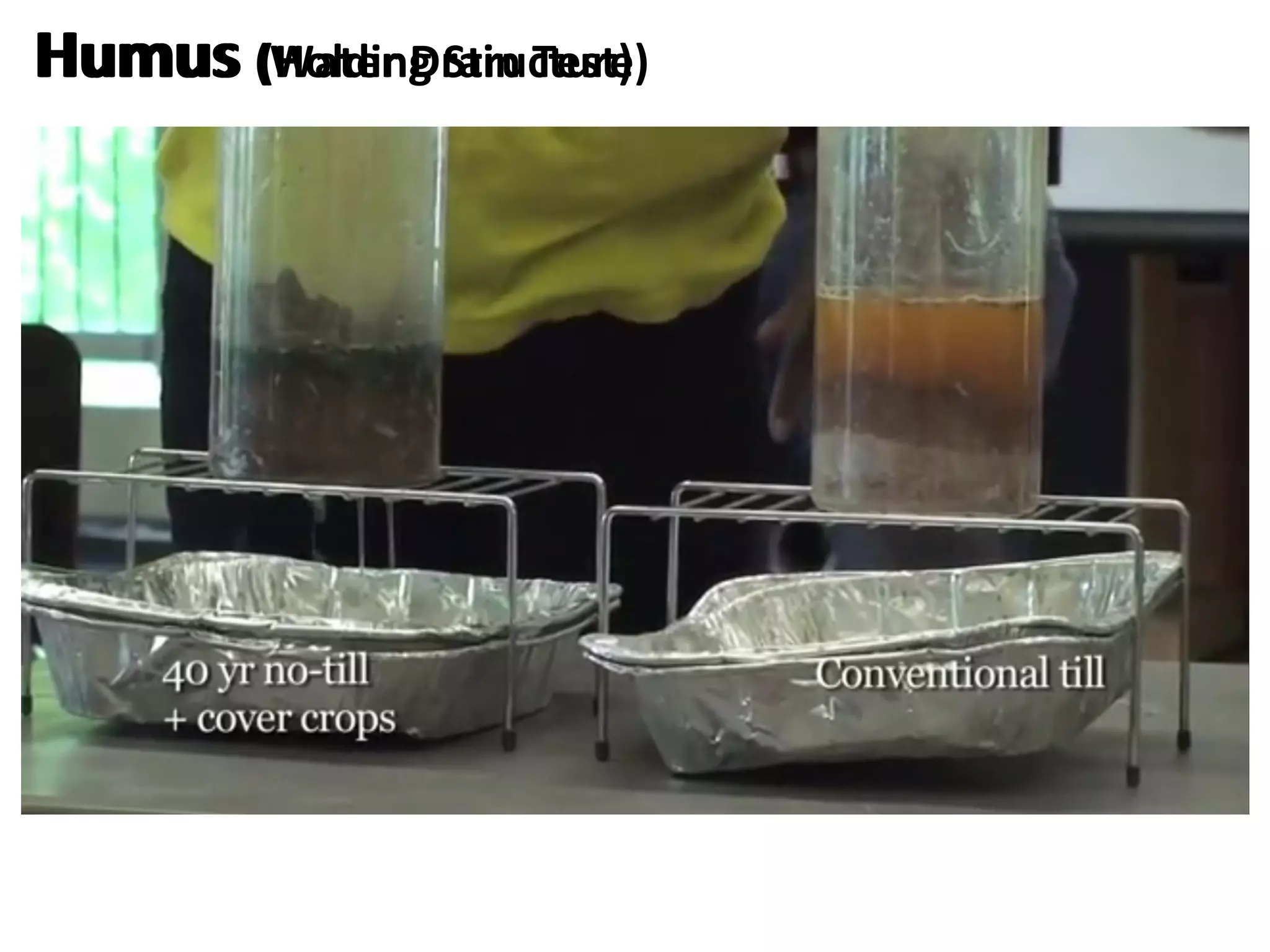 King humus plus presentation by kim c. gabuya | PPT | Free Download