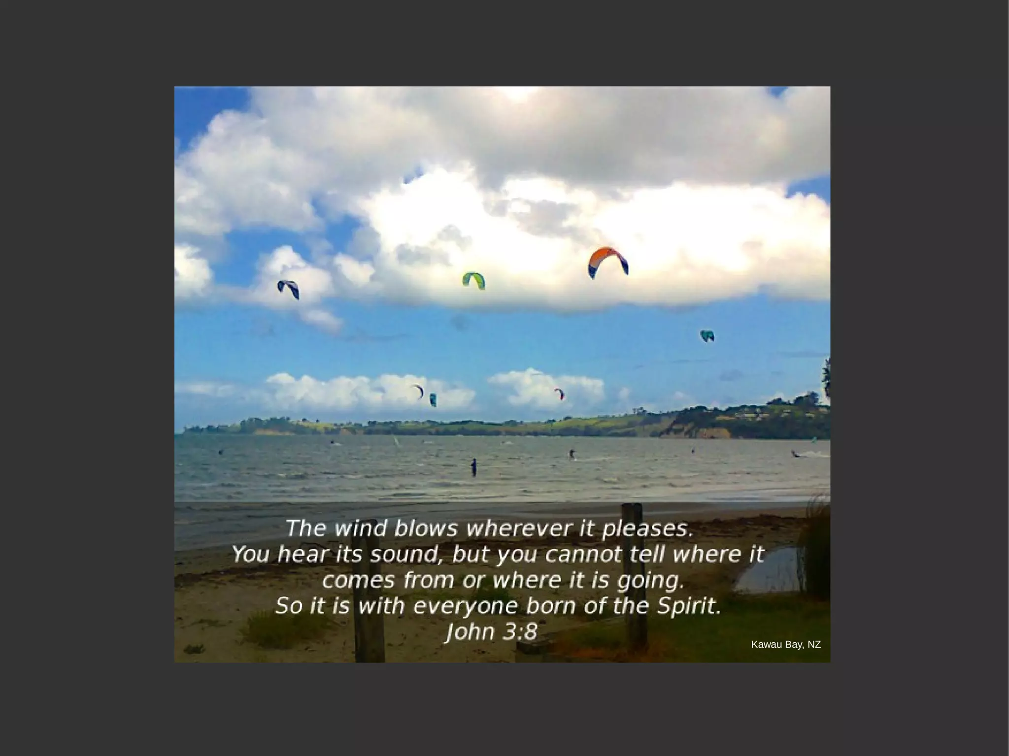 King of the wind | PDF