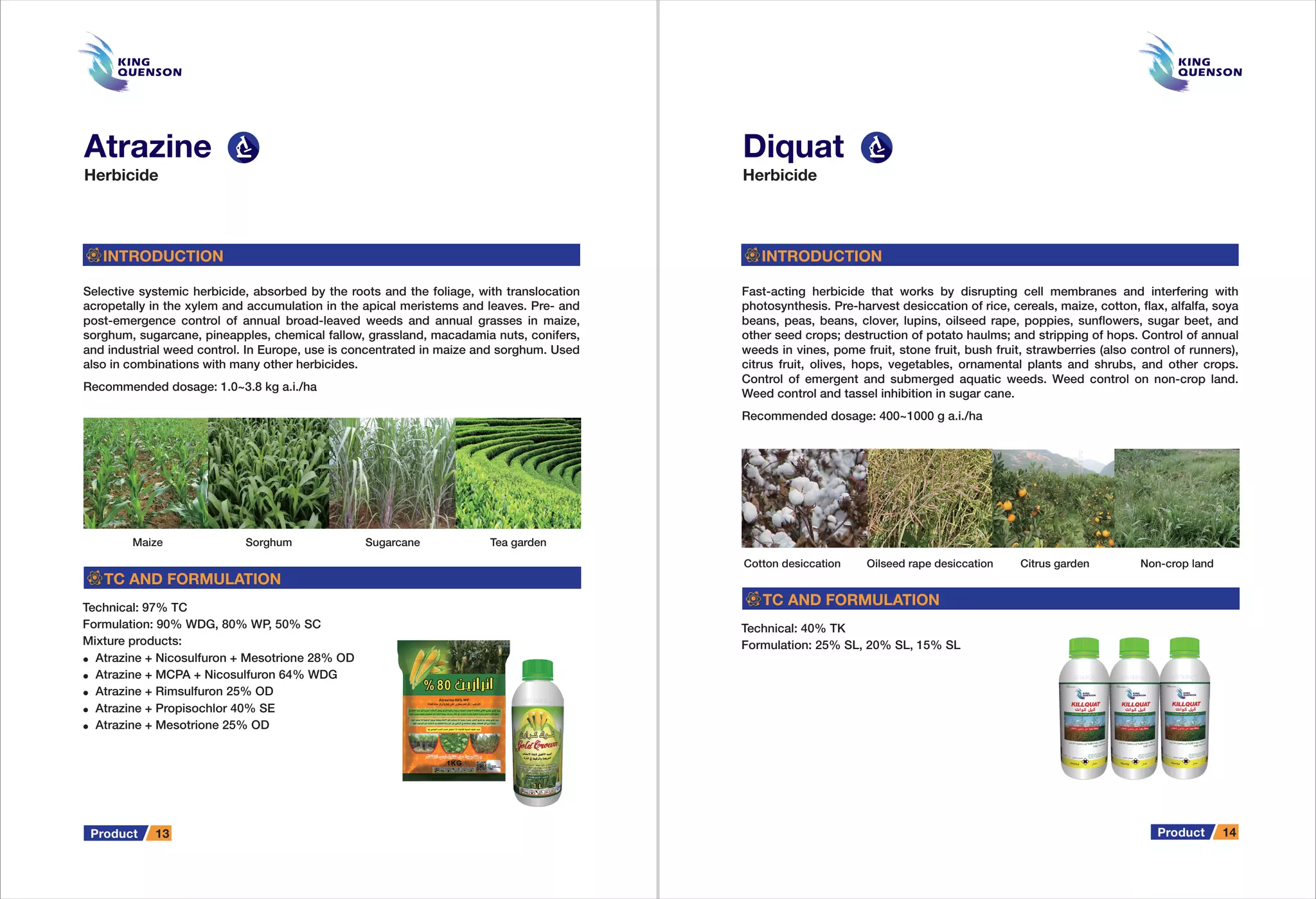 King Quenson China herbicide manufacturer | PDF | Agriculture | Industries