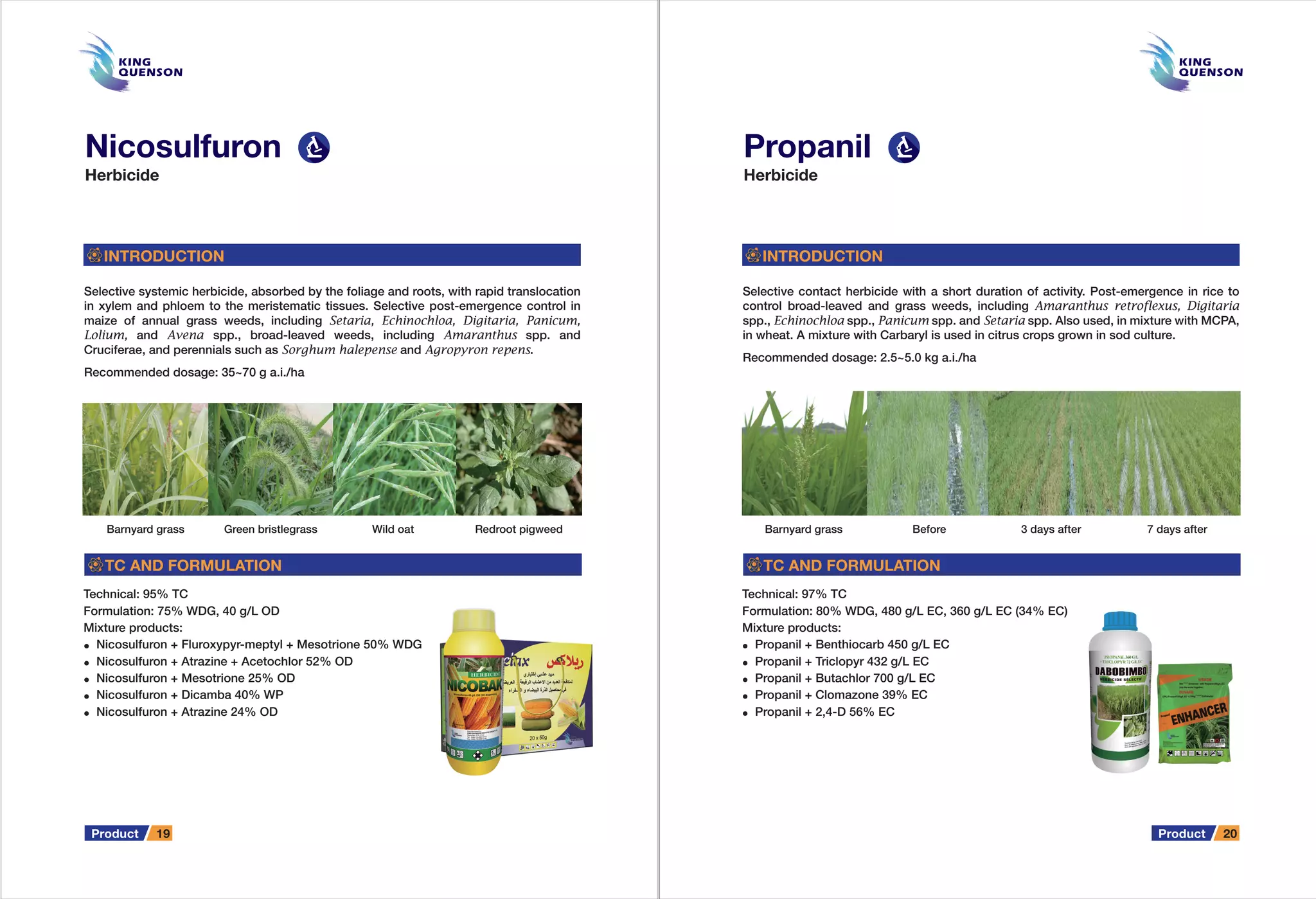 King Quenson China herbicide manufacturer | PDF | Agriculture | Industries