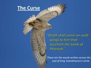King tut's curse | PPTX
