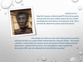 King Tut | PPTX