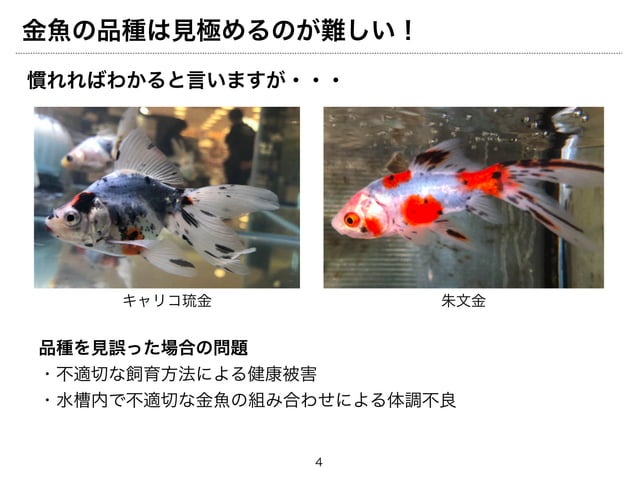 Kingyo AI Navi (udc2018-final) | PDF | Databases | Computer Software and Applications