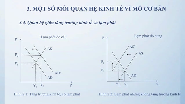 Kinh tế vĩ mô | PDF