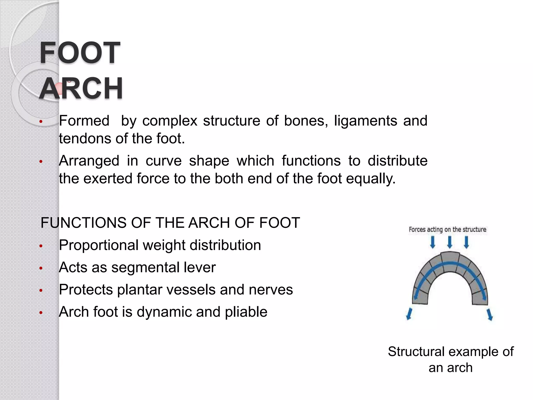 Kinisiology arch of foot | PPTX