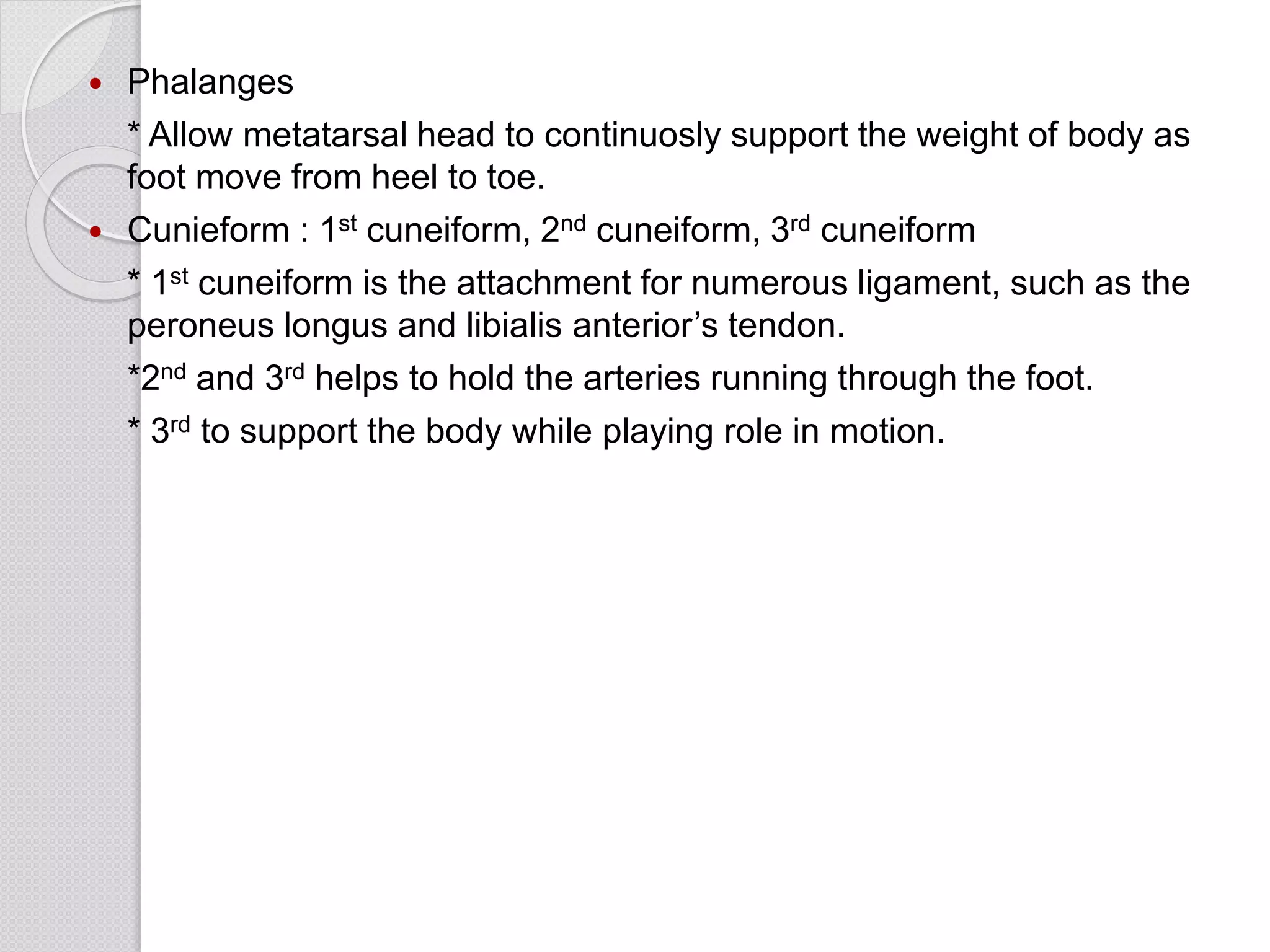 Kinisiology arch of foot | PPTX
