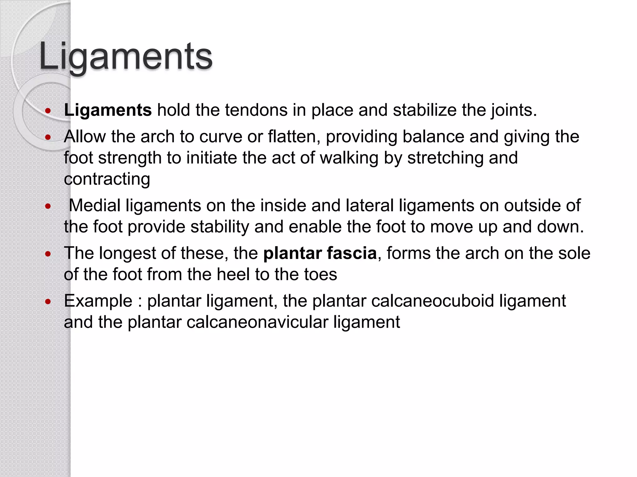 Kinisiology arch of foot | PPTX