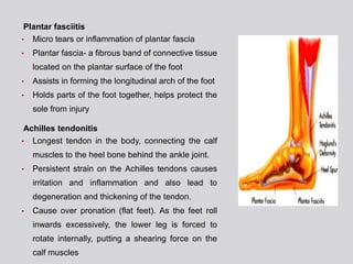 Kinisiology arch of foot | PPTX