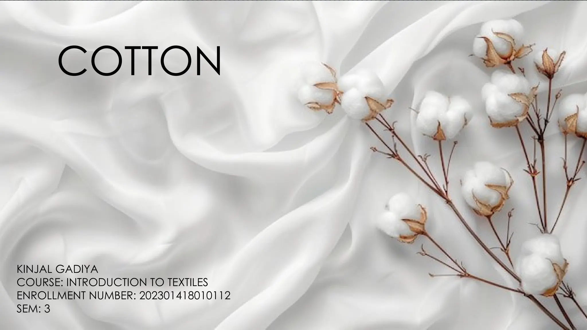 Cotton from a crop to a cash crop and its production | PPTX