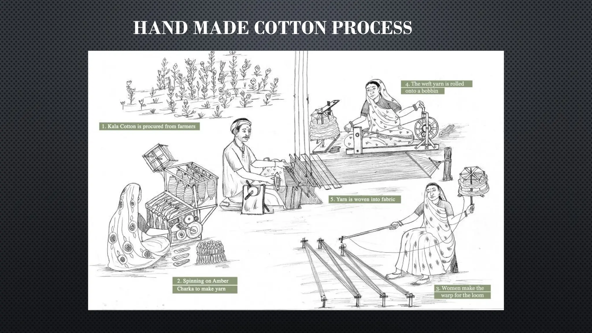 Cotton from a crop to a cash crop and its production | PPTX