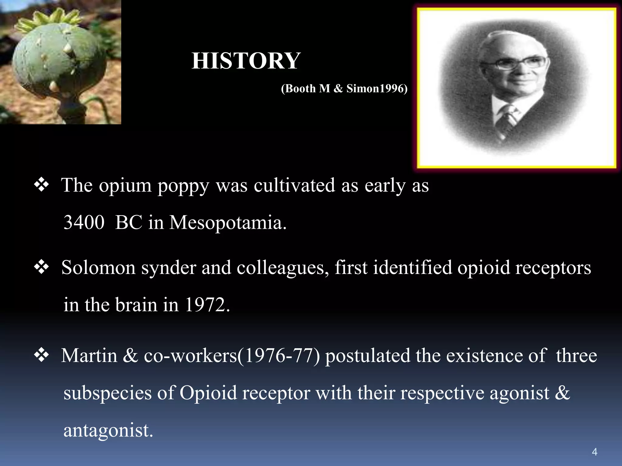 opioid receptor | PPTX