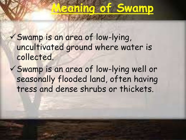 What is the meaning of Swamp? How Wole Soyinka has used it symbolically ...