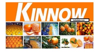 Kinnow | PDF