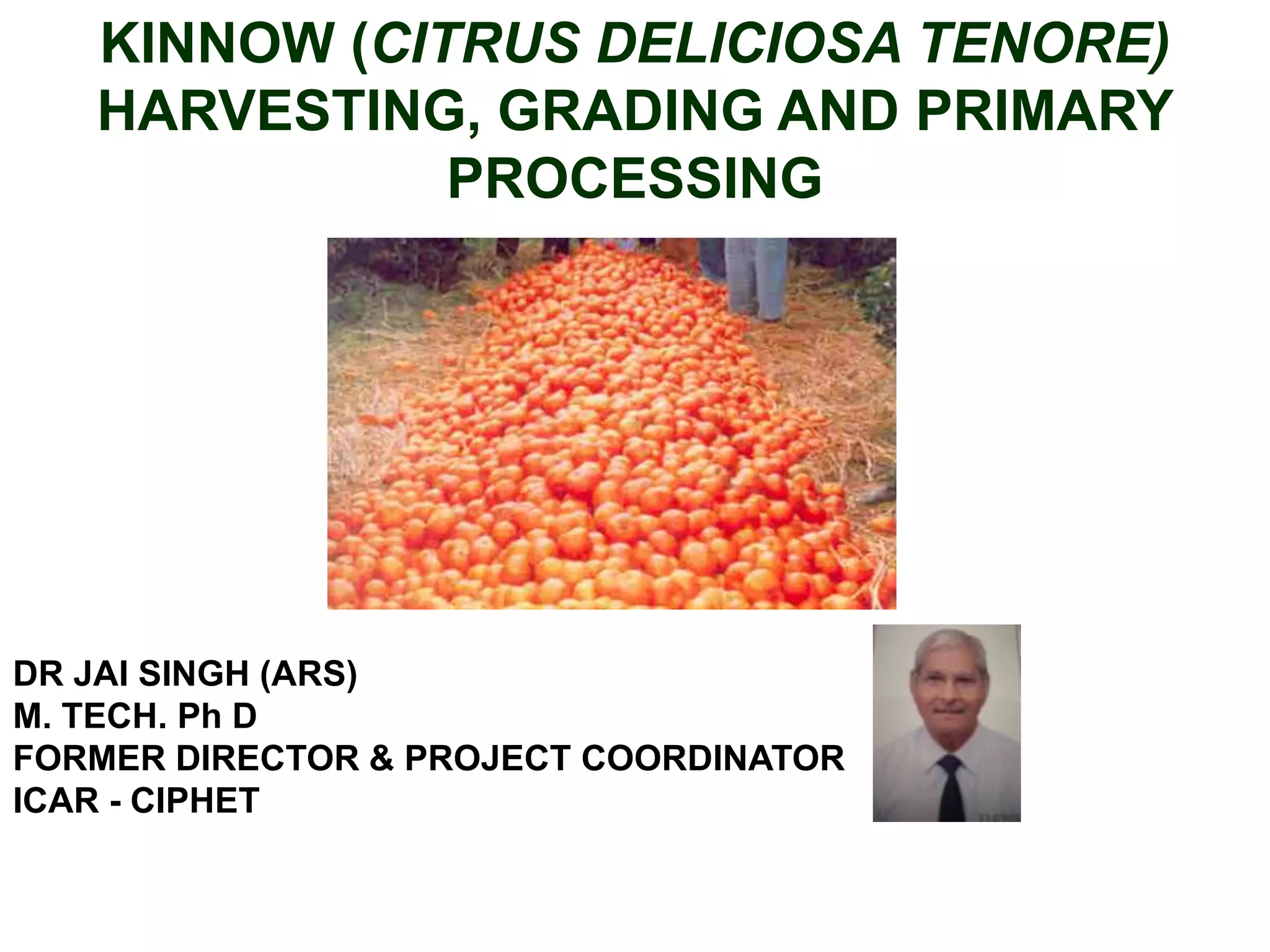 Kinnow Harvesting, GRADING AND PRIMARY PROCESSING | PPTX