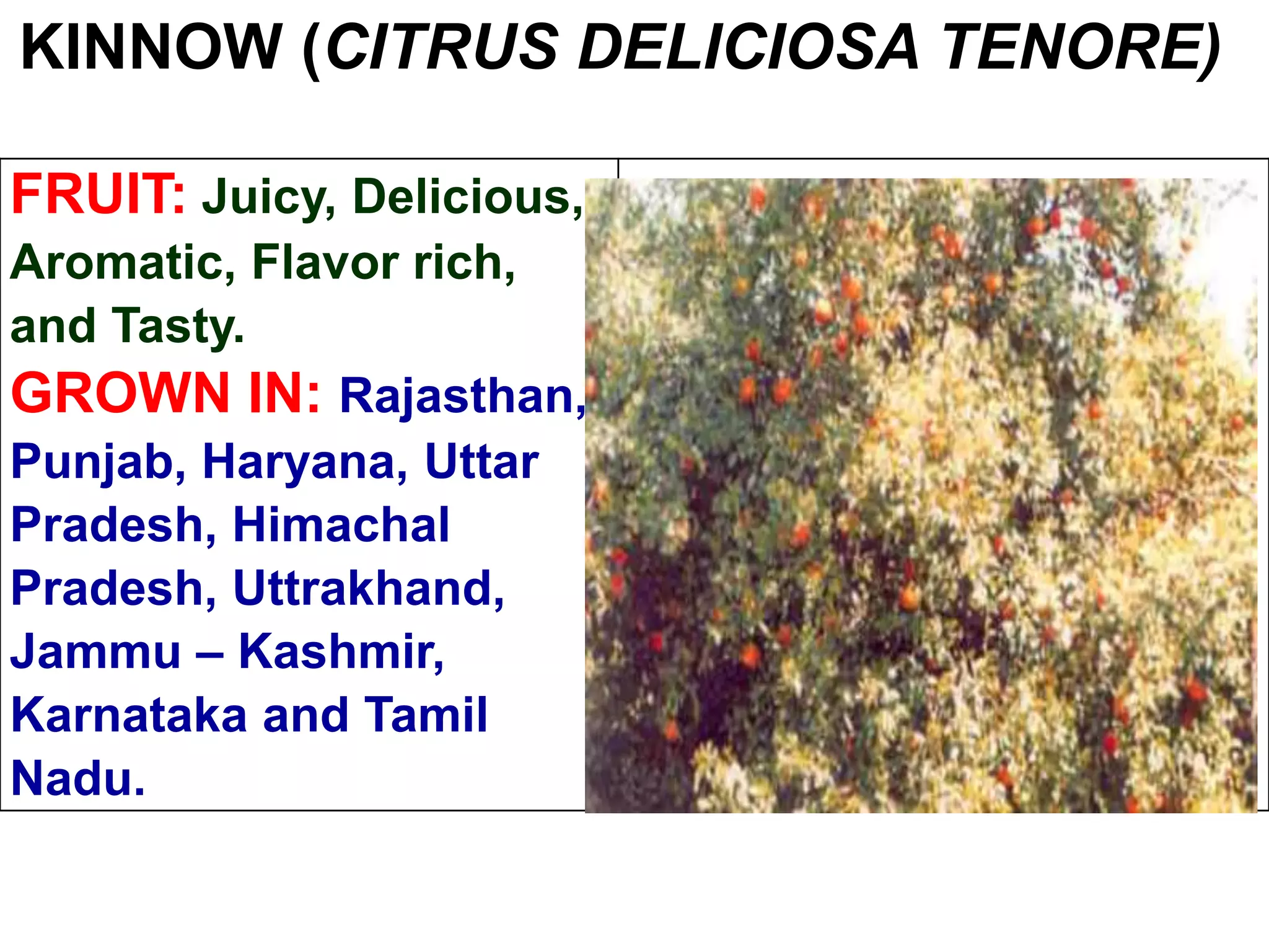 Kinnow Harvesting, GRADING AND PRIMARY PROCESSING | PPTX