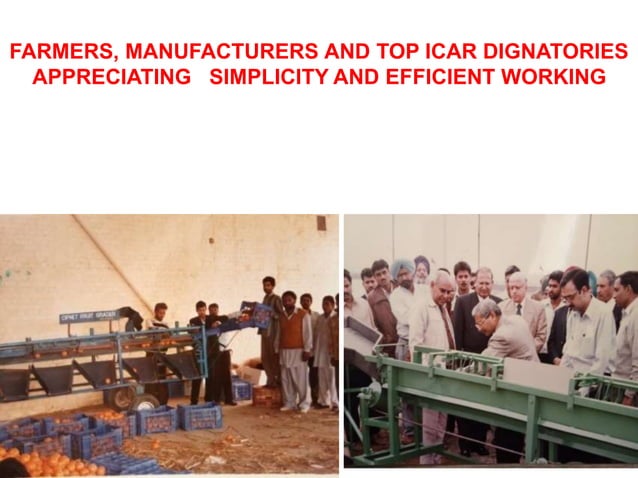 Kinnow Harvesting, GRADING AND PRIMARY PROCESSING | PPTX | Agriculture ...