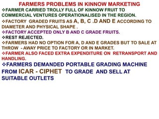 Kinnow Harvesting, GRADING AND PRIMARY PROCESSING | PPTX