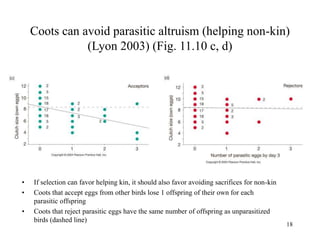 Kin selection with respect to animals.ppt