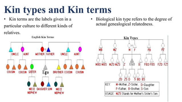 Kinship | PPTX | Marriage and Civil Unions | Family and Relationships