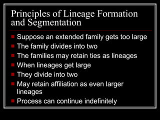 Descent UInts and Groups. | PPT