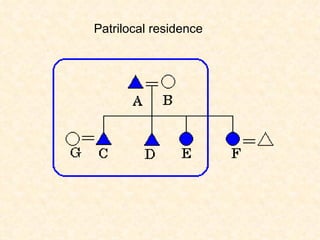 Matrilocal Residence
