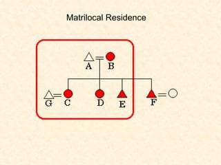 Matrilocal Residence