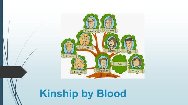Kinship | PPTX