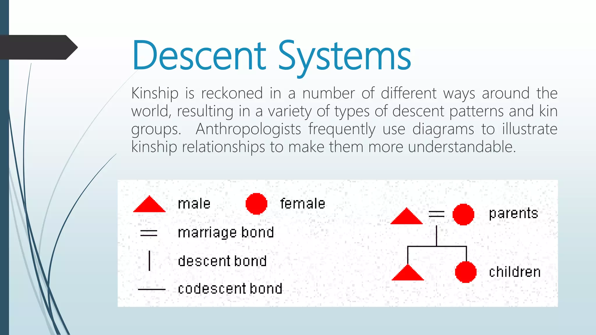 Kinship, marriage and the household | PPTX