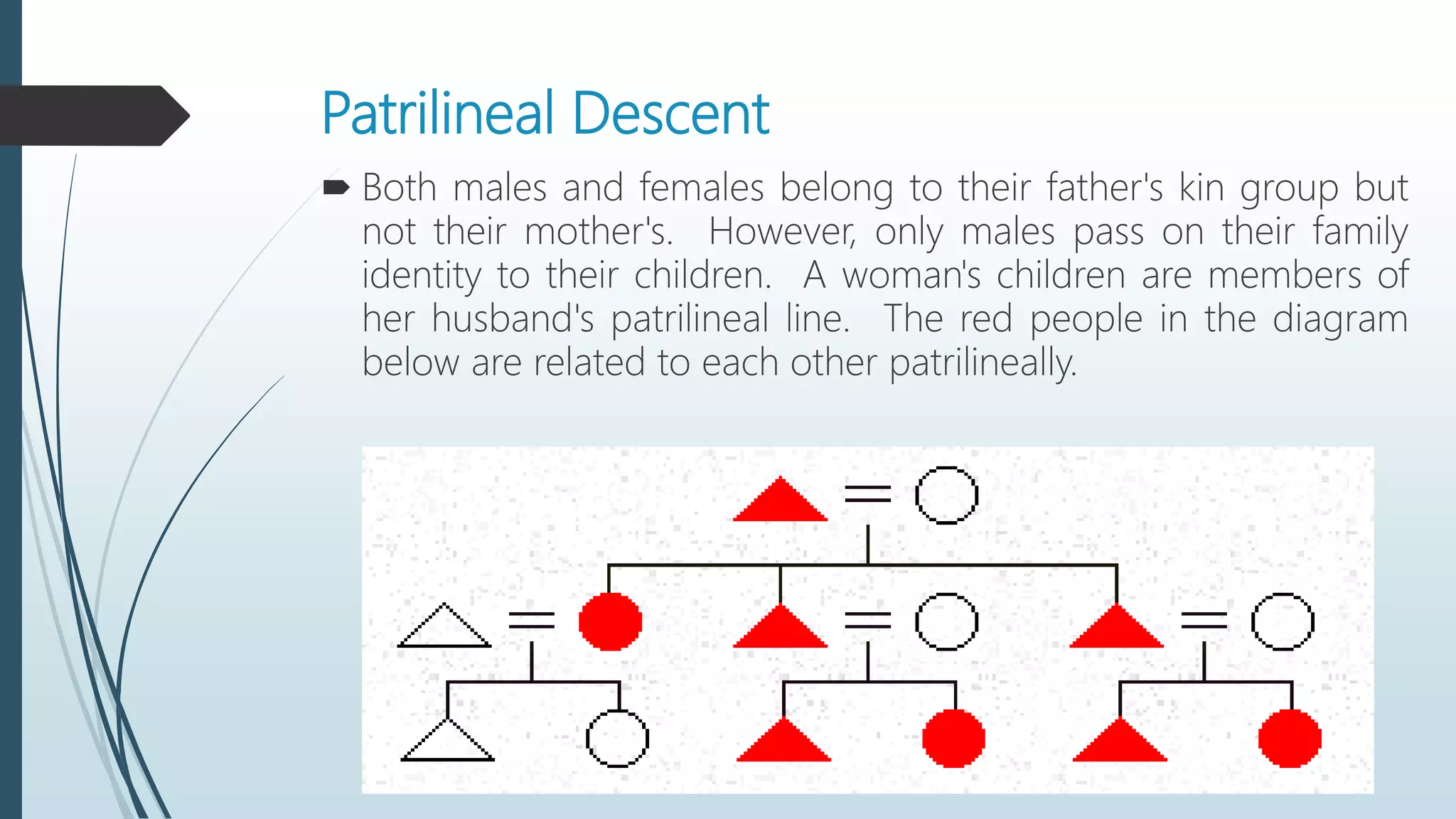 Kinship, marriage and the household | PPTX