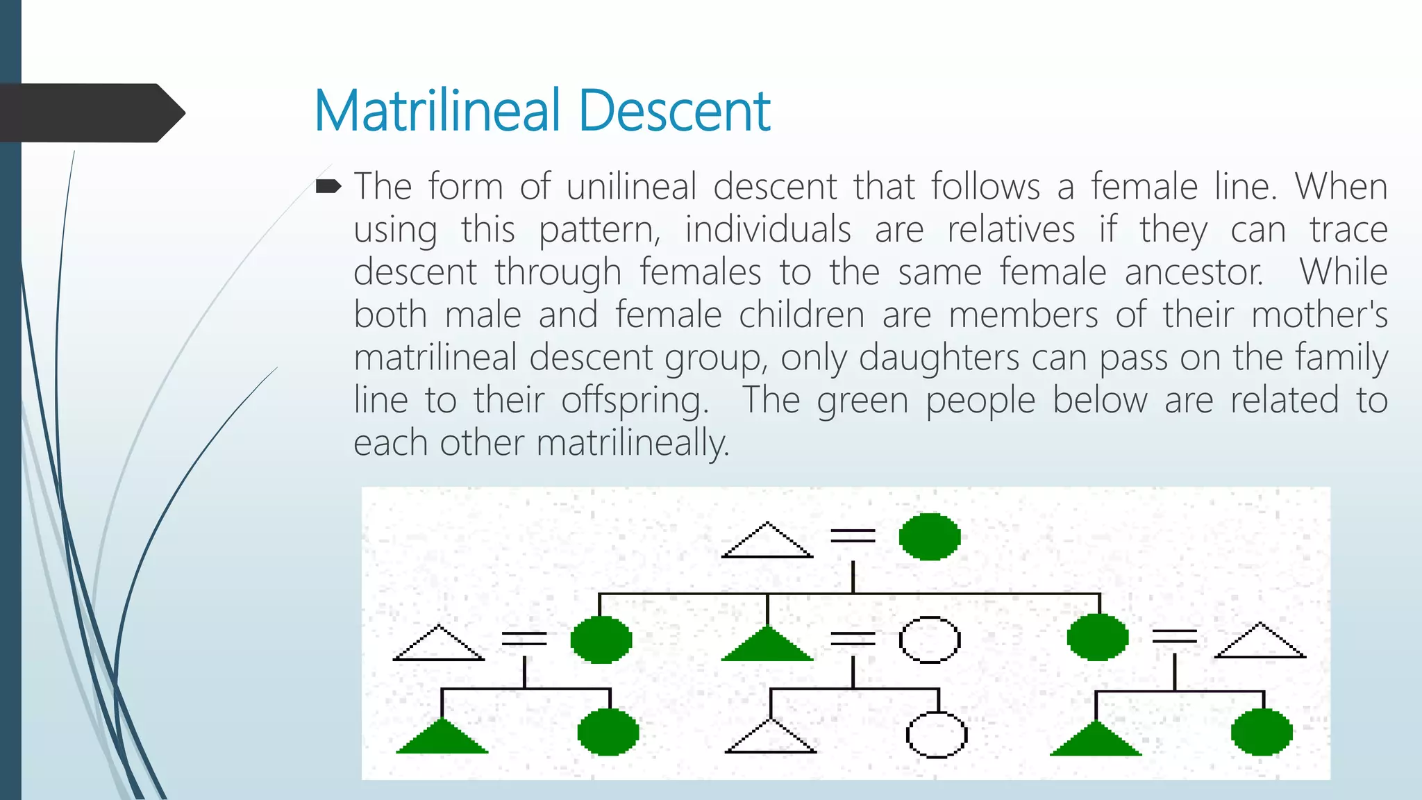 Kinship, marriage and the household | PPTX