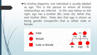 Kinship, marriage and the household | PPTX