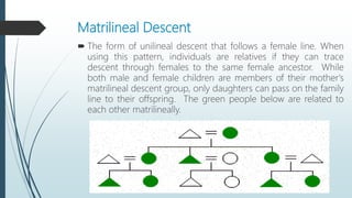 Kinship, marriage and the household | PPTX