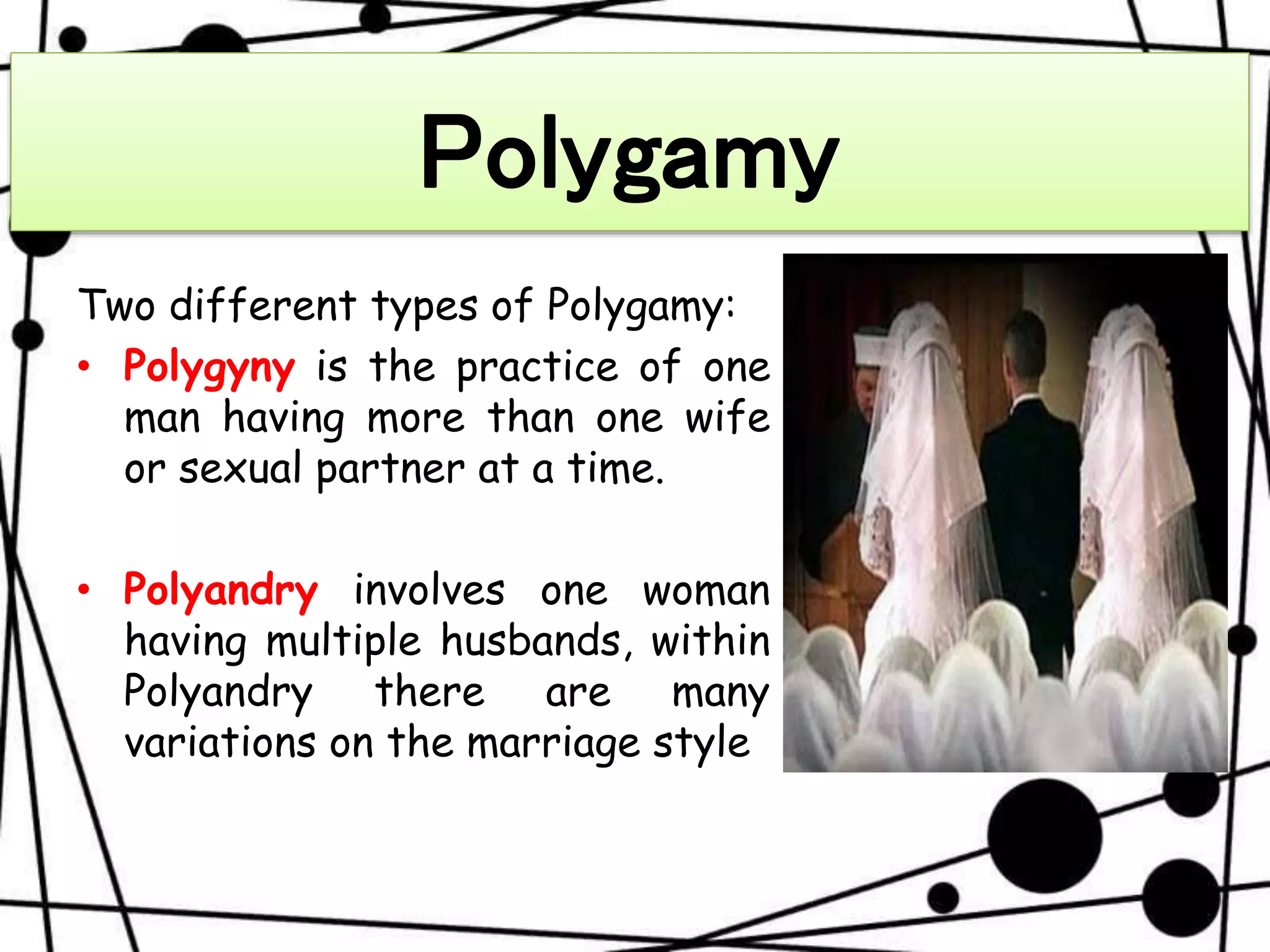 Kinship, marriage and the household | PPTX