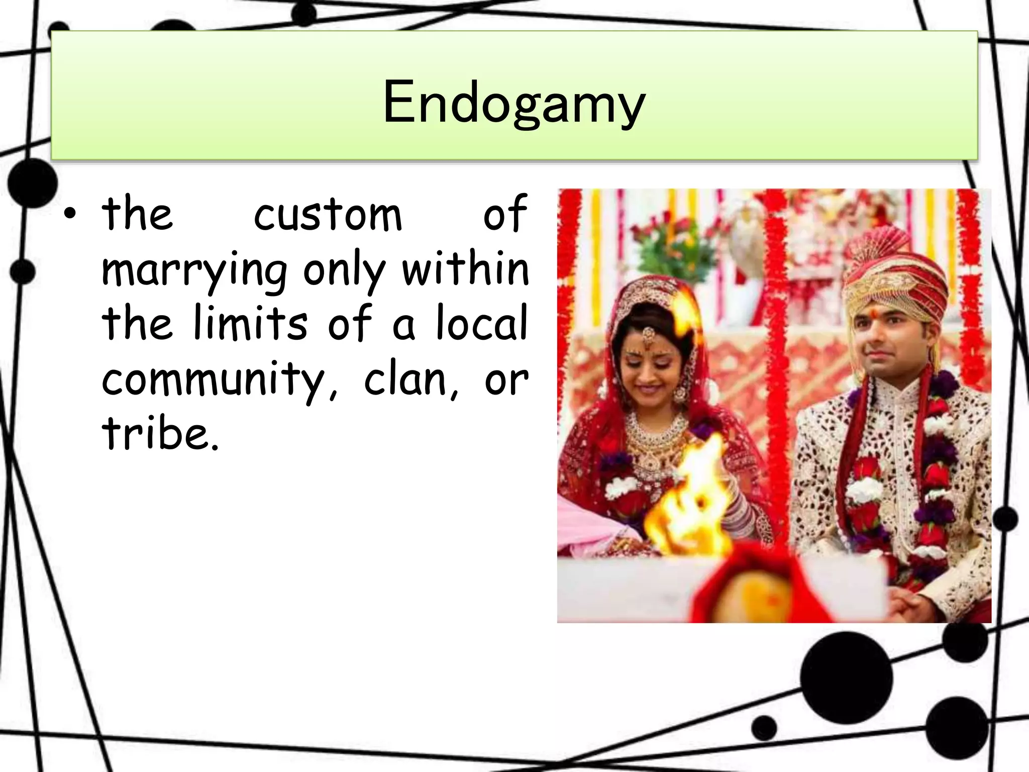 Kinship, marriage and the household | PPTX