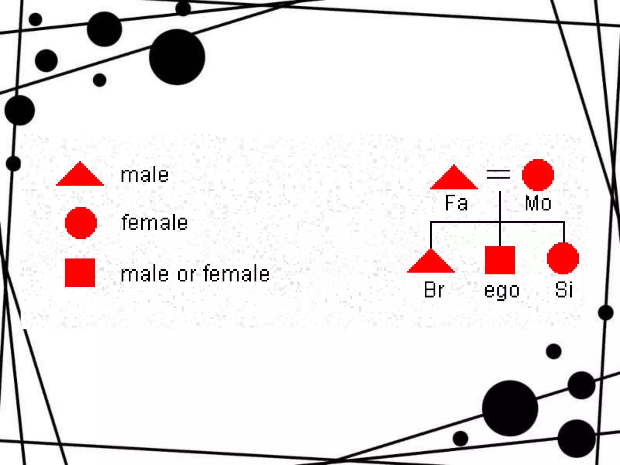 Kinship, marriage and the household | PPTX