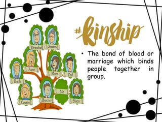 Kinship, marriage and the household | PPTX