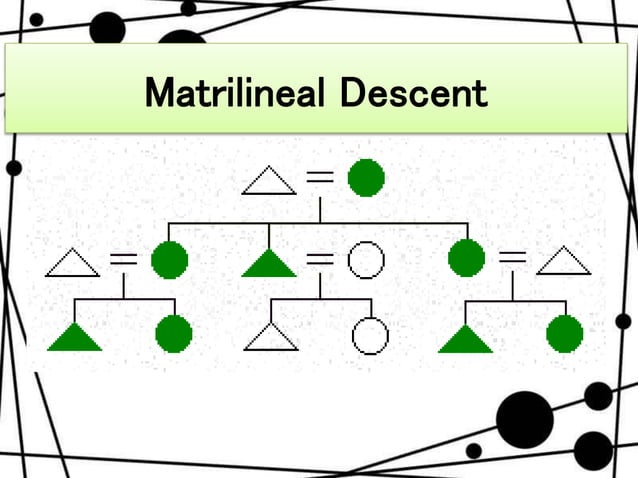 Kinship, marriage and the household | PPT