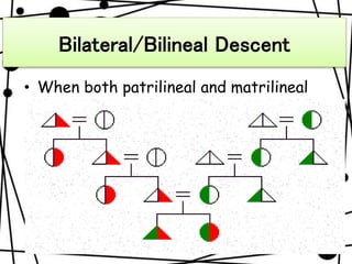Bilineal