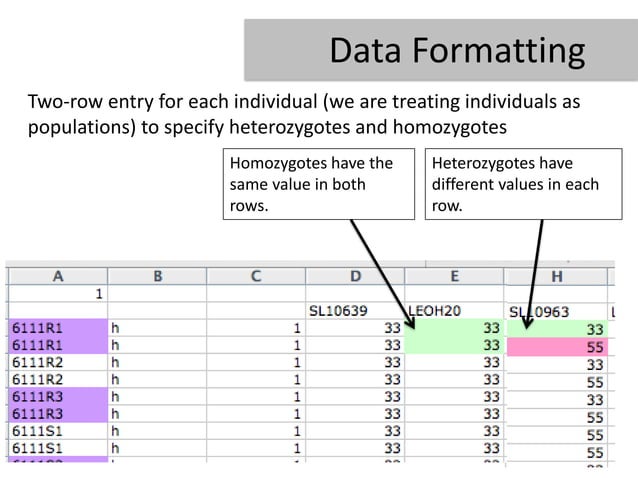 Creating a Kinship Matrix Using MSA | PPT