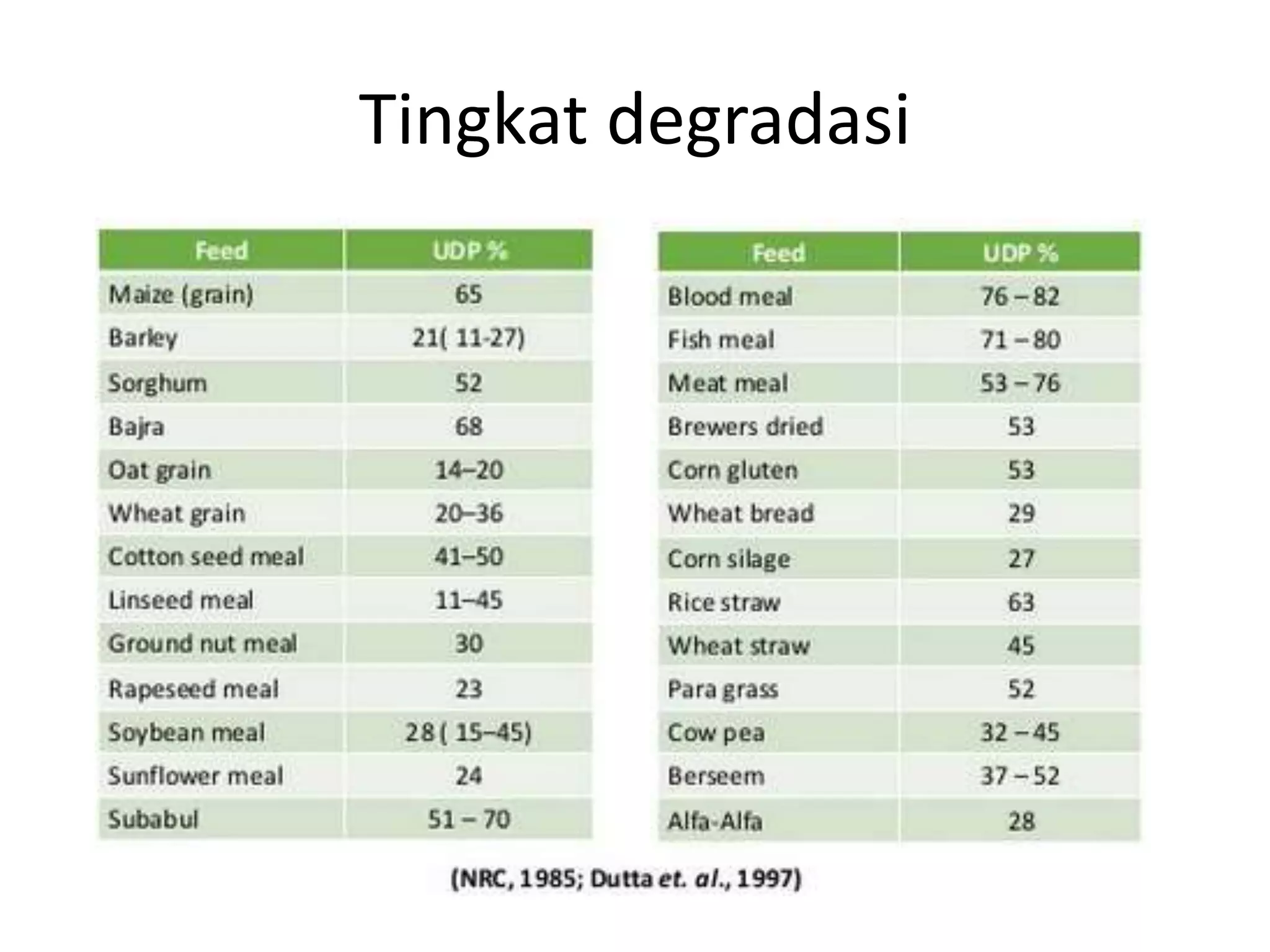 Mikroba rumen ruminansia | PPSX