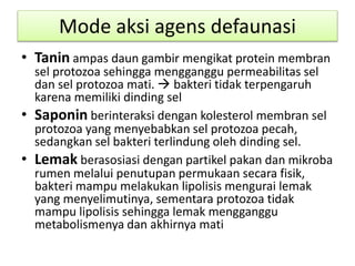 Mikroba rumen ruminansia | PPSX