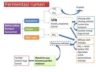 Mikroba rumen ruminansia | PPSX
