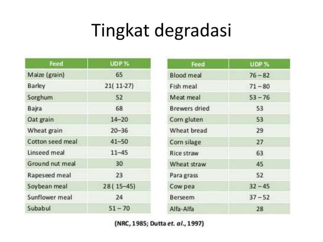 Mikroba rumen ruminansia | PPSX